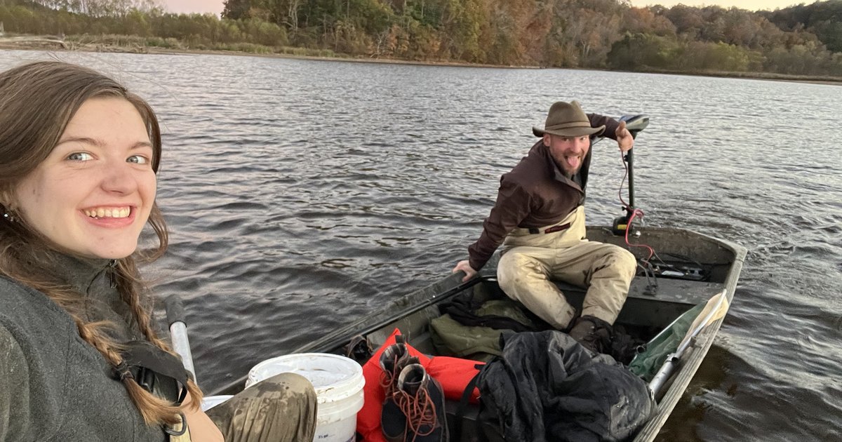 How are invasive plants impacting our wetlands? | Lake James ...